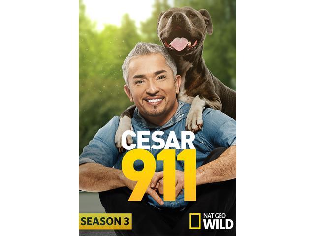 Cesar 911: Season 3 Episode 3 - The Goat Slayer [HD] [Buy] - Newegg.com