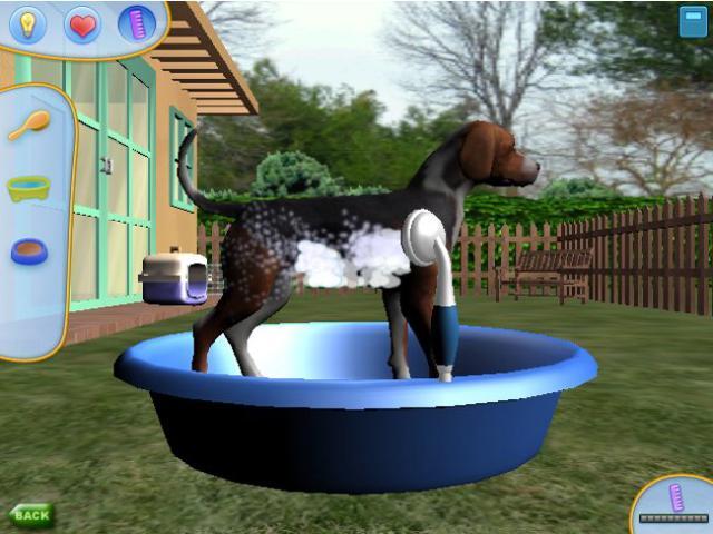 Pet Pals: New Leash On Life PC Game - Newegg.com