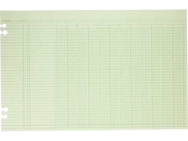 Wilson Jones WG50-12A Accounting Sheets, 12 Columns, 11" x 17", 100 ...