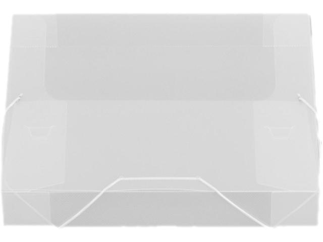 Lion 45200CR FILE-N-TOTE Plastic Document File, 13"x9-7/8", 2" capacity ...