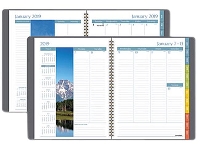 AT-A-GLANCE G70230 DayMinder Weekly / Monthly Planner with Weekly ...