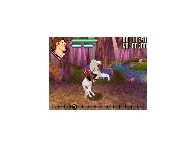 Enchanted Nintendo DS Game - Newegg.com