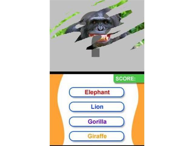 Animal Genius Nintendo DS Game - Newegg.com