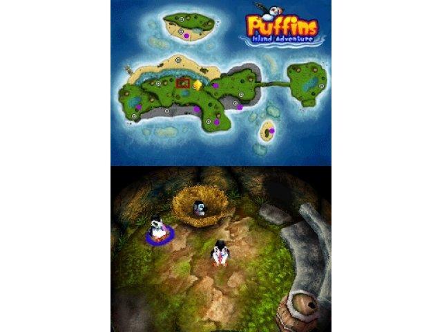 Puffins: Island Adventure Nintendo DS Game - Newegg.com