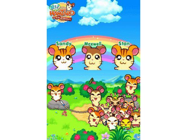 Hi! Hamtaro: Ham-Ham Challenge Nintendo DS Game - Newegg.com