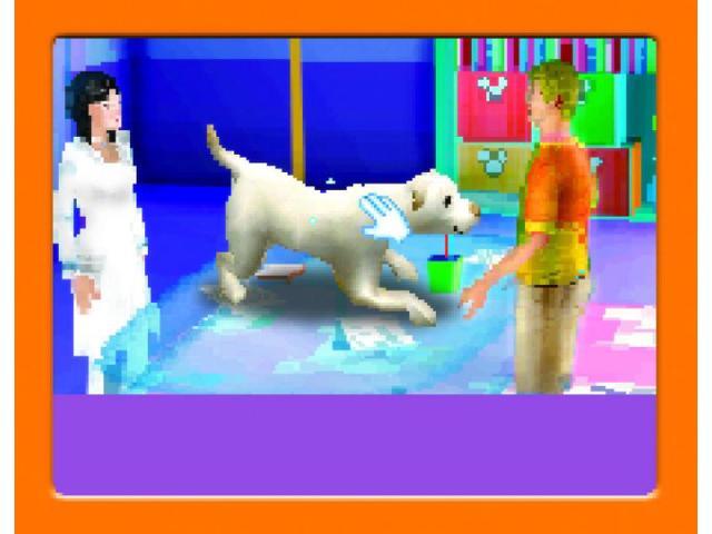 Imagine: Animal Doctor Nintendo DS Game - Newegg.com