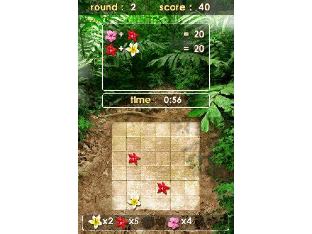 Zenses: Rainforest Nintendo DS Game - Newegg.com