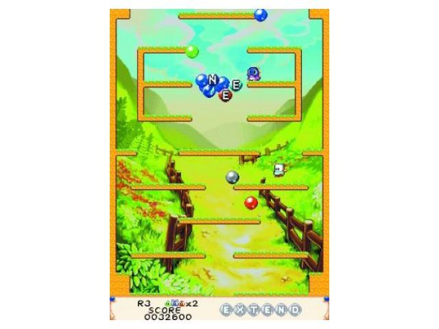 Bubble Bobble Double Shot Nintendo DS Game - Newegg.com