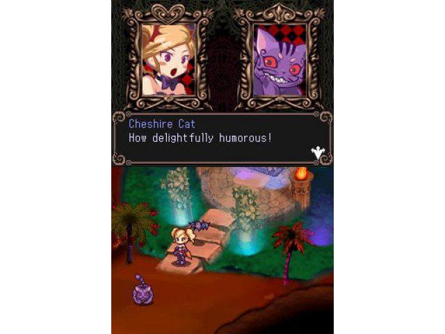 Witch's Tale Nintendo DS Game - Newegg.com