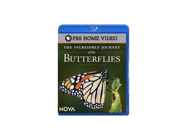 Nova: The Incredible Journey of the Butterflies - Newegg.com
