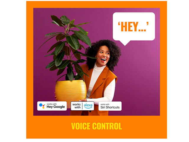 WiZ Connected Rune Floor Lamp - Newegg.com