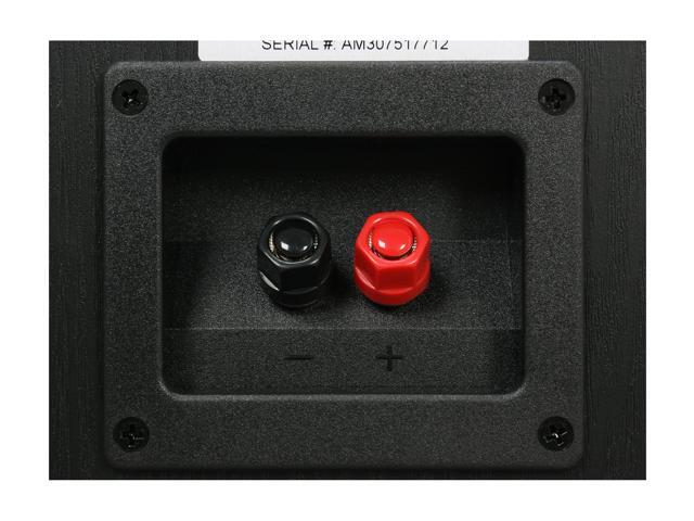 Polk Audio R300 Black Two-Way Floor-Standing Loudspeaker Single ...