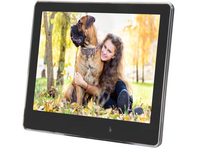 ViewSonic VFM820-50 8" 800 x 600 Digital Photo Frame - Newegg.com