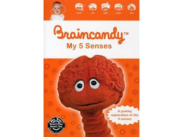 Braincandy: My Five Senses - Newegg.com
