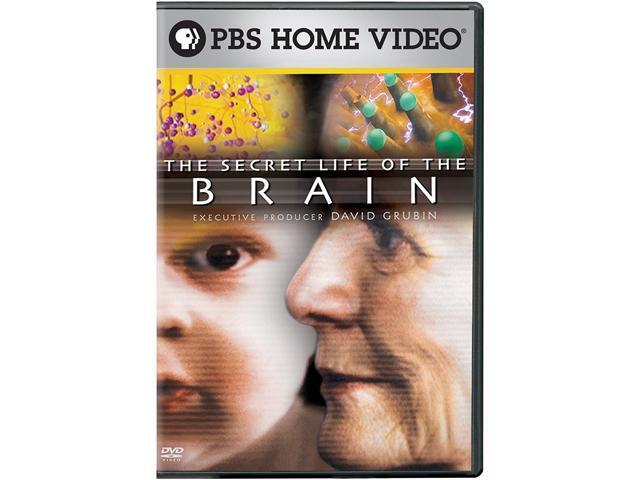 The Secret Life of the Brain - Newegg.com