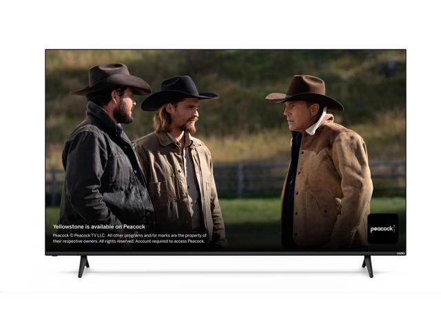 Open Box: VIZIO 65-inch Q6 65" 4K Quantum Color Smart TV (M65Q6M-K04 ...