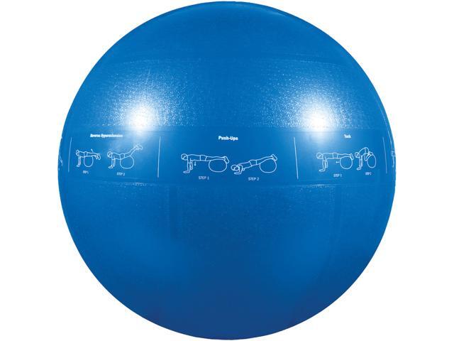 GoFit GF-55PRO Professional Stability Ball & Core Performance Training ...