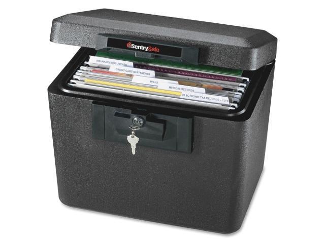 Sentry Safe Security File 1170BLK - Newegg.com