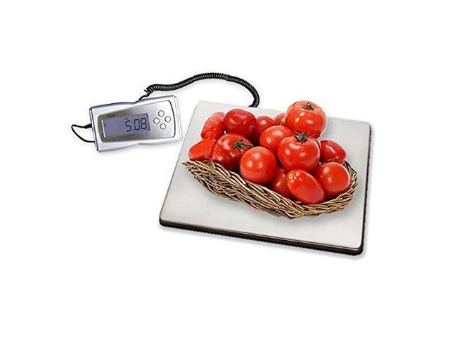 Excalibur Dehydrators Digital Scale (330 lbs.) - Newegg.com
