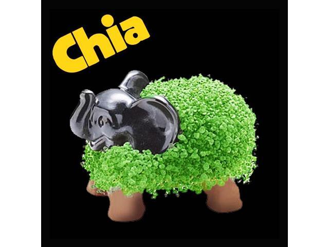 Chia Pet Planter - Elephant - Newegg.com