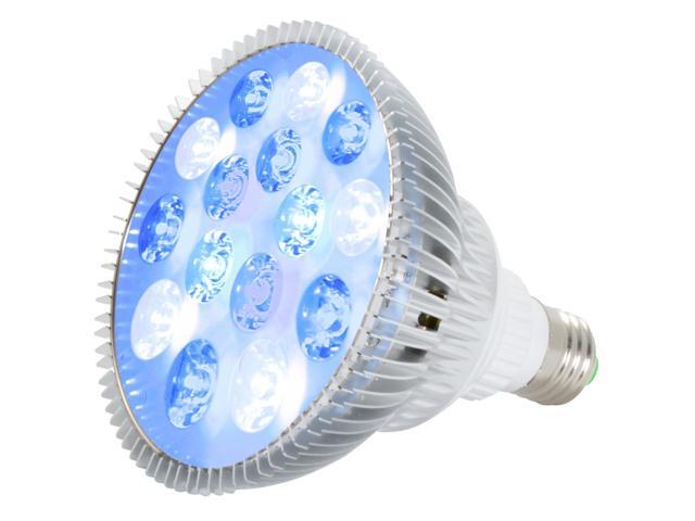 ABI 12W Blue LED PAR38 Grow Light for Aquarium and Plant Growth (450 ...