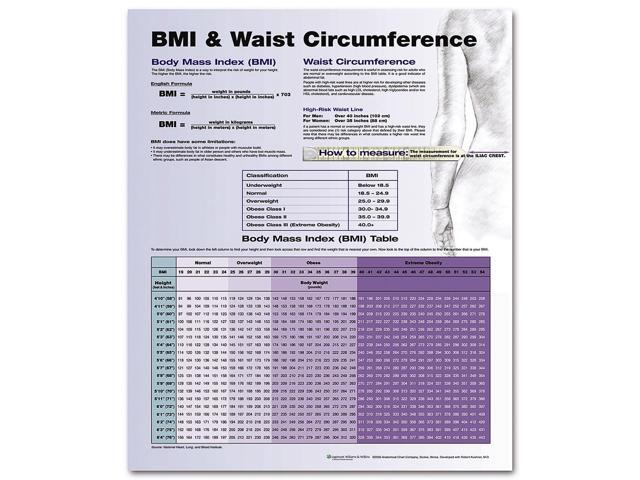 BMI & Waist Circumference Chart 20'' x 26'' - Newegg.com