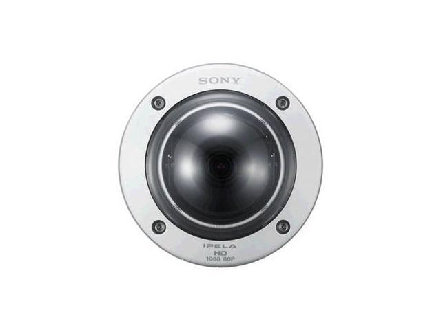 Sony IPELA 2.1 Megapixel Network Camera - Color, Monochrome - Newegg.com