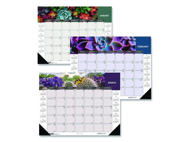 Recycled Succulent and Cacti Desk Pad Calendar 17 x 22 Multicolor ...