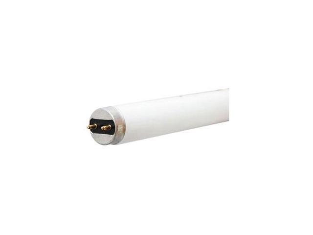 GE 26667 - F32T8/SP35/ECO Straight T8 Fluorescent Tube Light Bulb ...