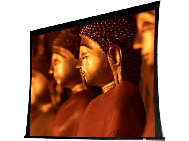 Draper Ultimate Access/Series V Electric Projection Screen - Newegg.com