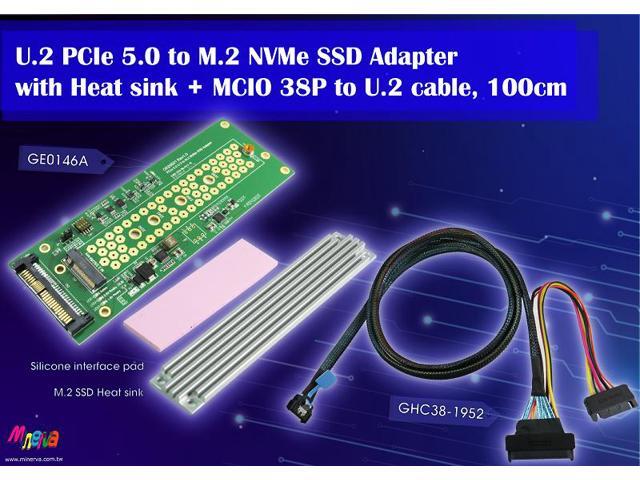 MCIO 38P PCIe 5.0 to U.2, 100cm cable+ PCIe 5.0 U.2 to M.2 Adapter with ...