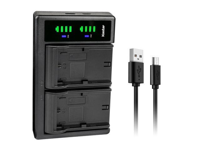 Kastar LP-E6 LTD2 USB Battery Charger Replacement for Canon EOS R, EOS ...