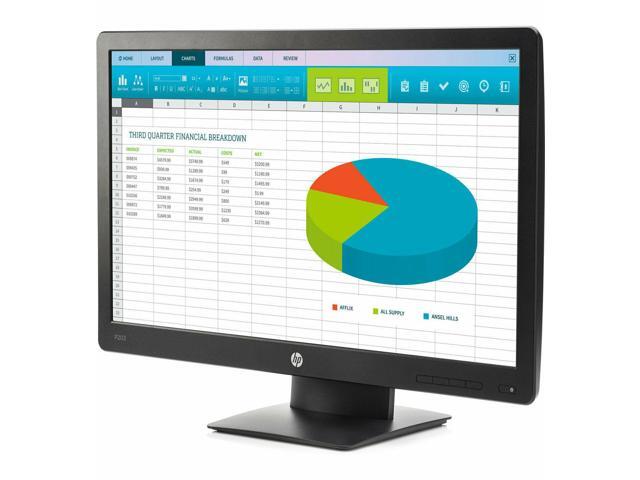 HP ProDisplay P203 20" WLED LCD Monitor - 16:9 - 5 ms - Newegg.com