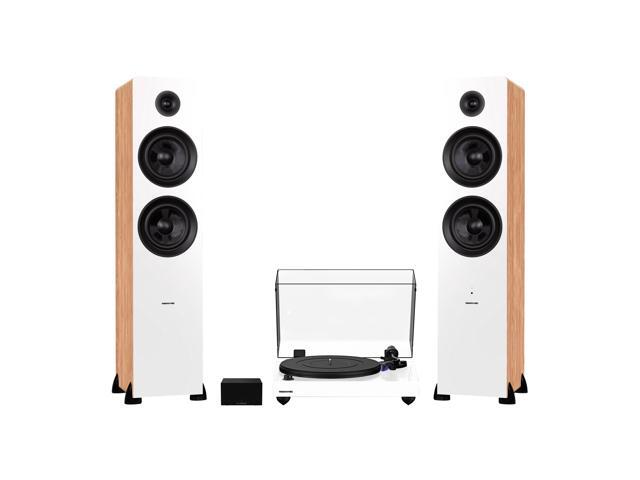 Fluance RT84 Reference High Fidelity Vinyl Turntable (White), PA10 ...