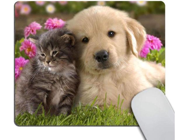 Mouse Pad Animals Cat Kitten Dog Golden Retriever Puppy Mousepad Rubber ...