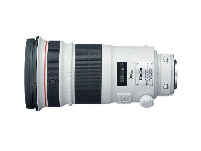 Canon EF 300mm f/2.8L IS USM II Super Telephoto Lens for Canon EOS SLR ...