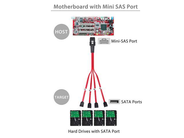 EnLabs Mini SAS to 4 SATA Cable SAS Breakout Cable Mini SAS Male SFF ...
