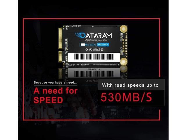 DATARAM 256GB mSATA 6Gb/s SSD, Internal Solid State Drive Mini Sata ...