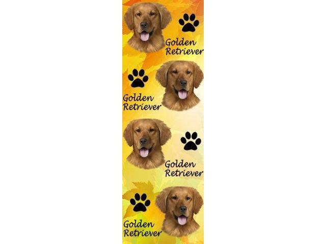 Puppy Pads B M Puppy And Pets