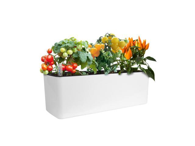 J&C Self Watering Planter, Window Gardening Box, 16x 5.5 Inch, Indoor ...