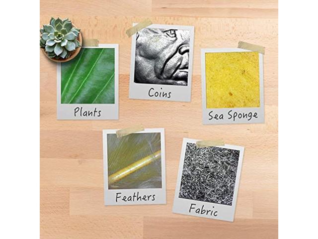 Plugable USB 2.0 Digital Microscope with Flexible Arm Observation Stand ...