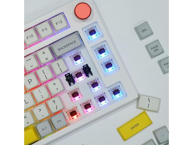 EPOMAKER TH80 Pro 75% Gaming Keyboard, Hot Swap RGB 2.4Ghz/Bluetooth 5. ...