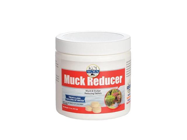 Muck Reducer 145 Tablets Dry Beneficial Bacteria Reduces Muck Sludge ...