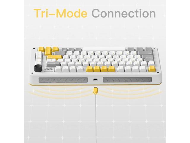 iQunix ZX75 Gravity Wave 75% RGB Mechanical Keyboard with Volume Knob ...