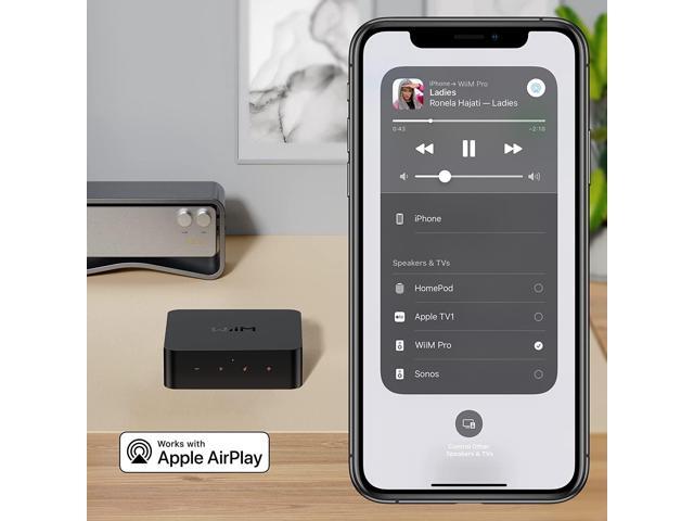WiiM PRO AirPlay 2 Receiver Chromecast Hi-Res Audio WiFi Multiroom ...
