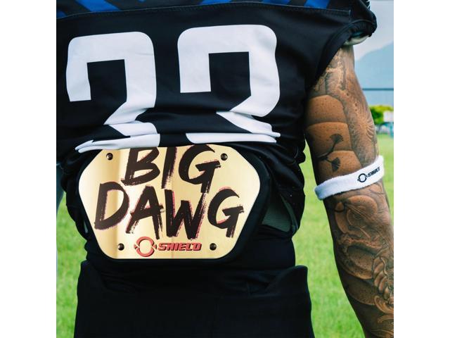 O Shield BIG DAWG Golden Chrome Football back plate, Lower back pads ...