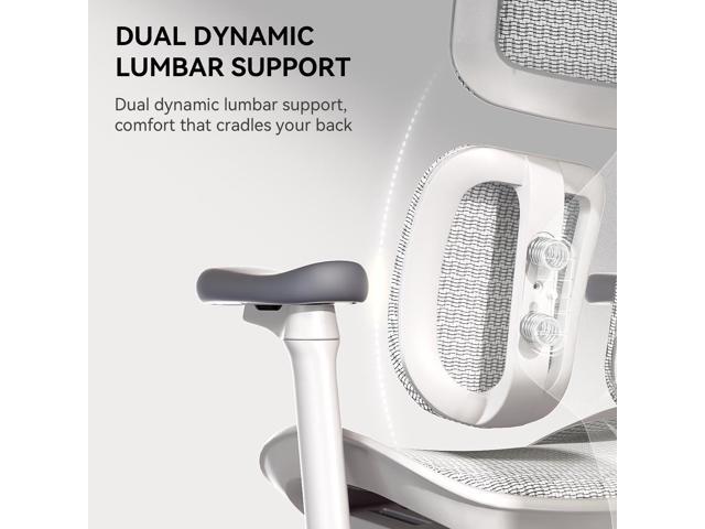 Sihoo Doro S100 Ergonomic Office Chair with Dual Dynamic Lumbar Support ...