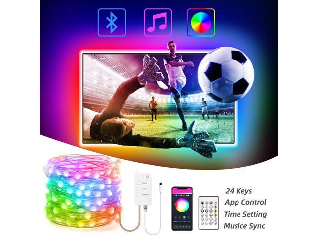 30LED USB Lights Copper Wire String lights RGB Music Sync Remote & APP ...