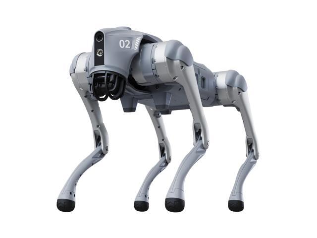 Unitree Go2 Robot Dog Quadruped Robotics for Adults Embodied AI (Go2 ...