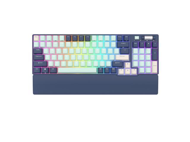 RK ROYAL KLUDGE RK96 RGB Gaming Keyboard Limited Ed 90% 96 Keys ...